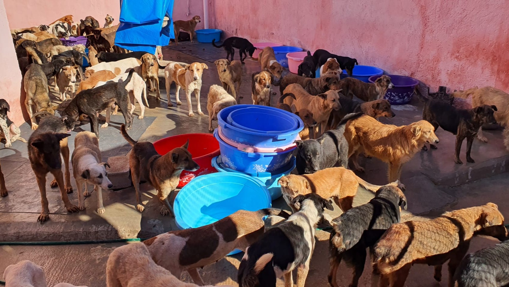 Fundraiser by Michael Daniel Brownleader : Support Refuge Arrahma, an ...