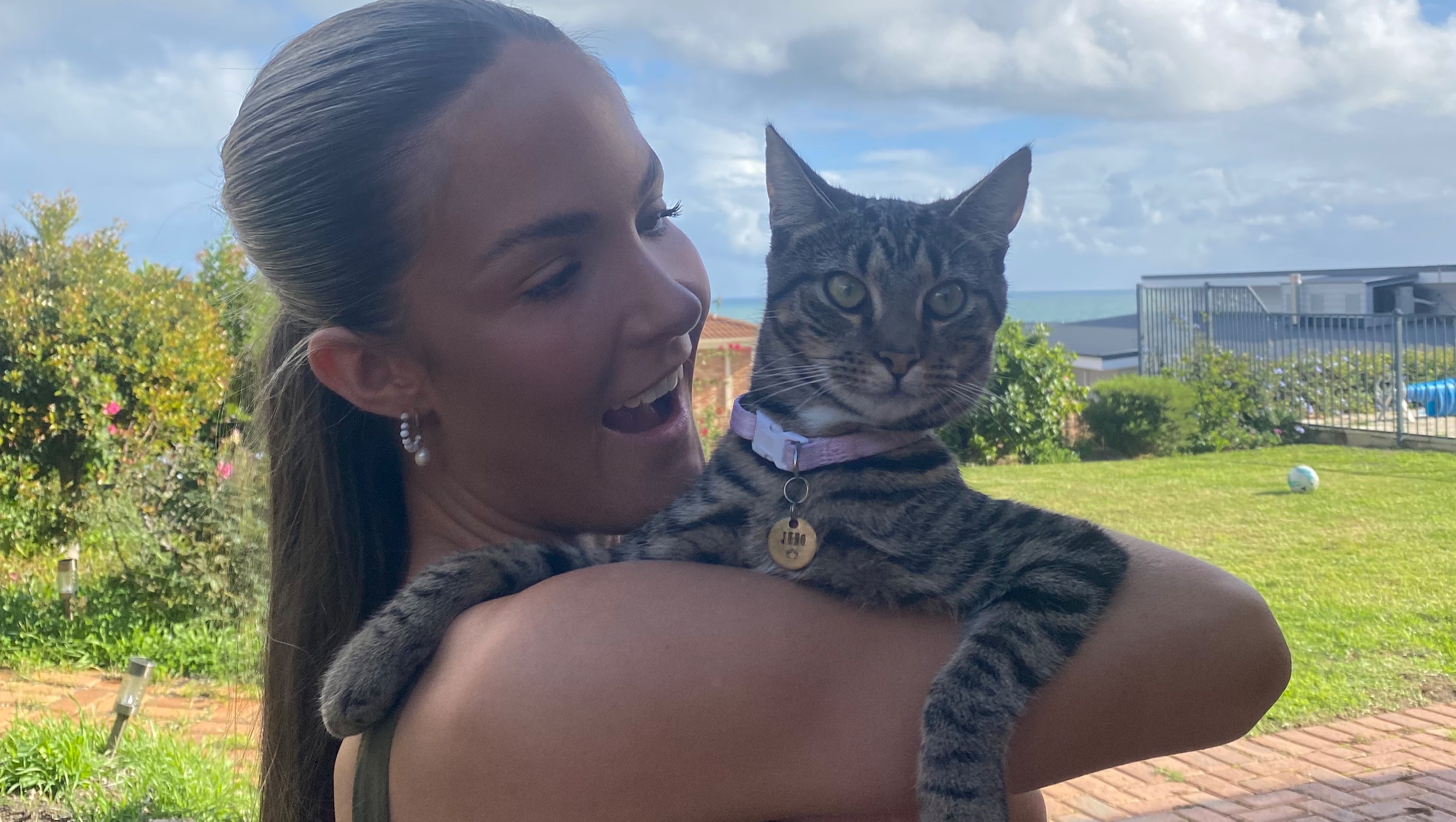 Fundraiser for Meg Doherty by George Doherty : Juno The Cat Needs Surgery!