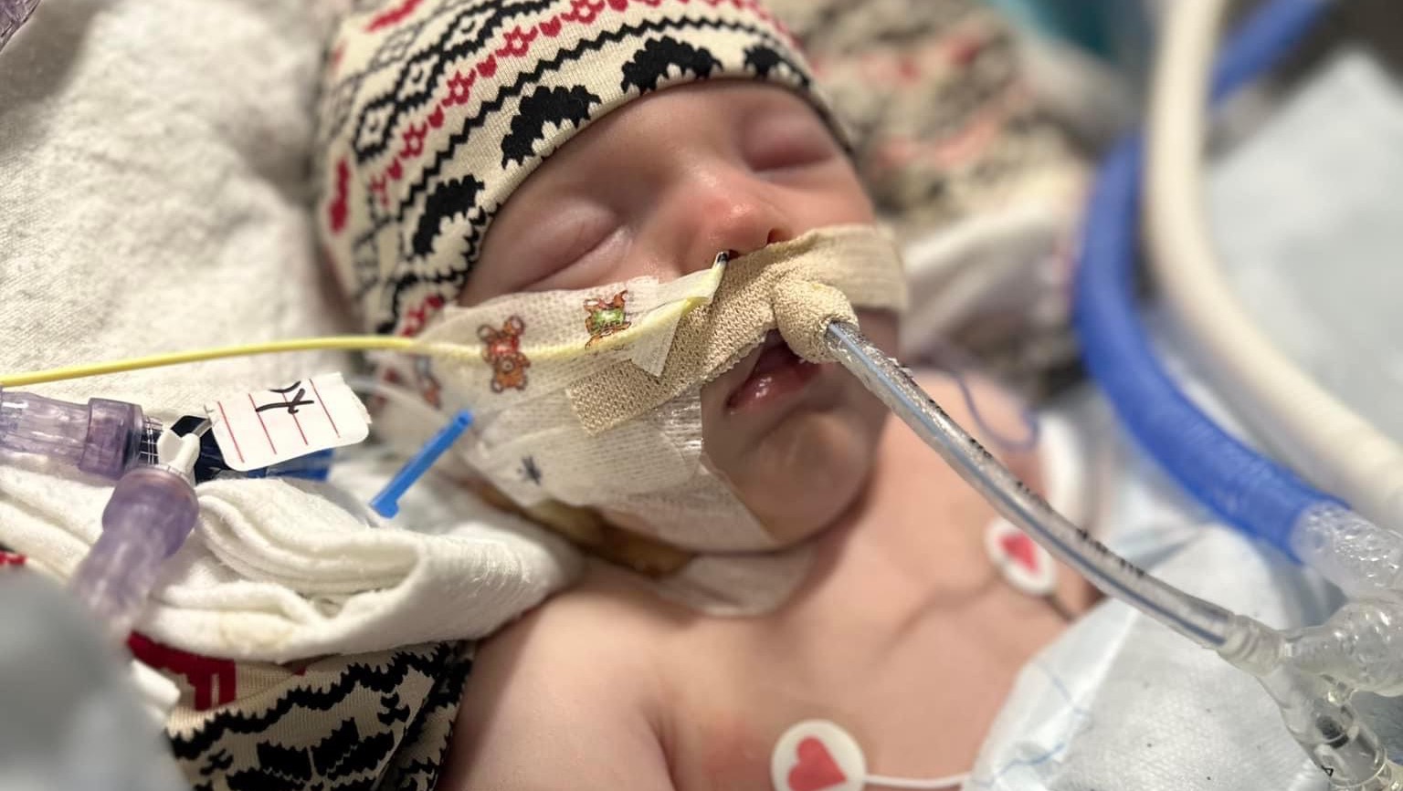 Fundraiser for Cory Tremain by Kay Zimarino : Baby Tatum