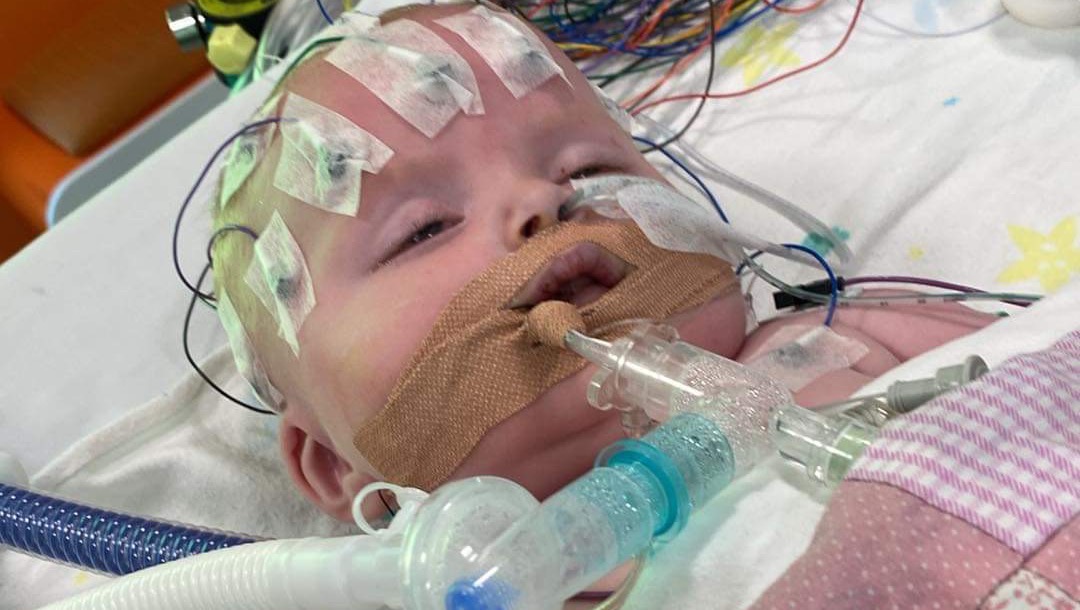 Fundraiser for Casey Bradford by Ruth Mansfield : Funeral for Aurora ...