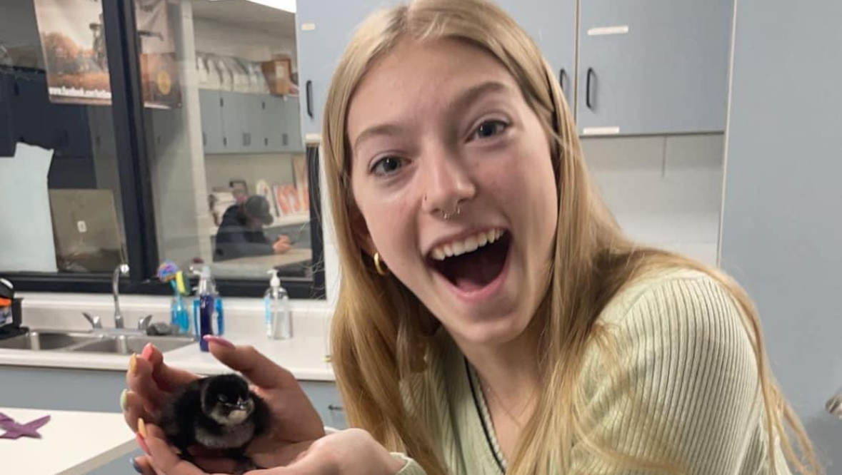 Fundraiser for Chris Geier by Heather Loos : Harmony Faith