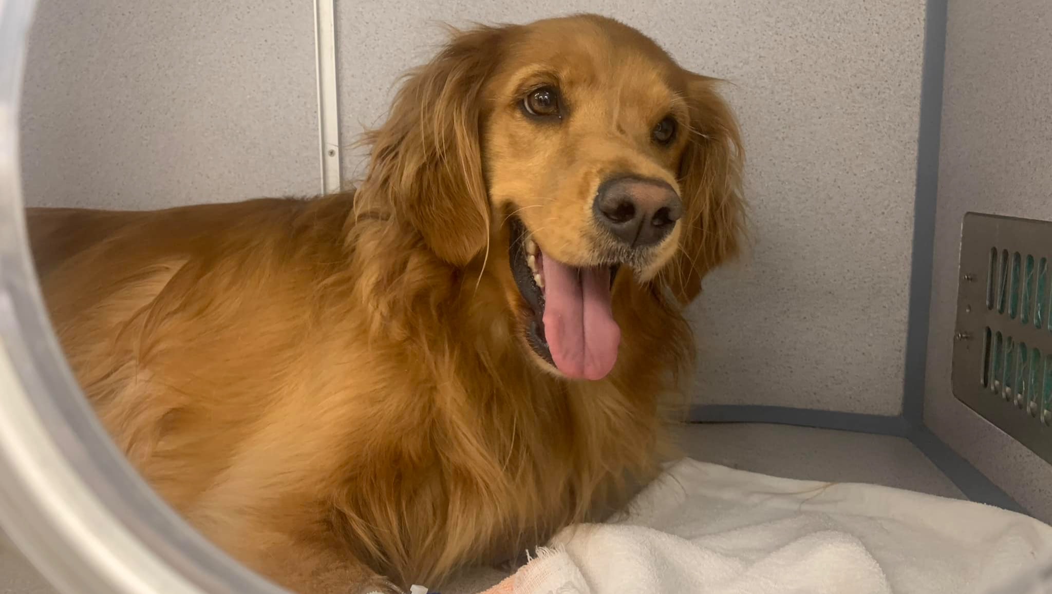 Fundraiser for Joy Moran by Fisher DeCamp : Help the Morans save their ...