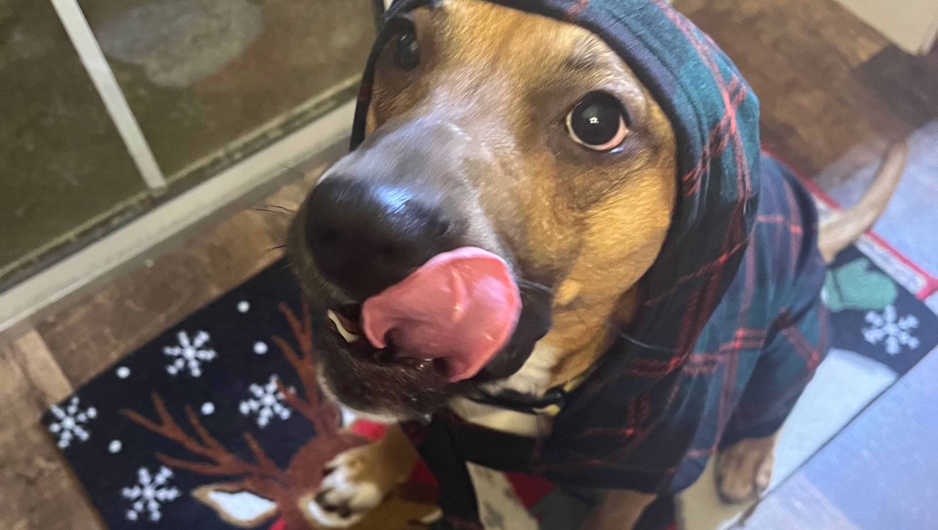 Fundraiser by Vex Alspach : So Vexy and cooper man don’t become homeless