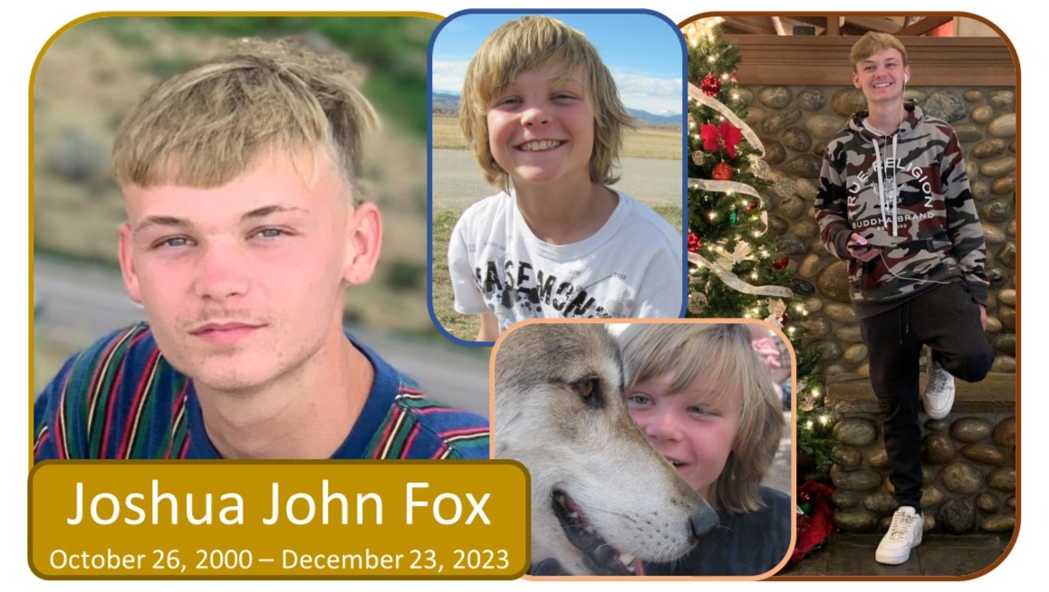 Fundraiser for Crystal Fox by Rachel Streiff : Support for the Family ...