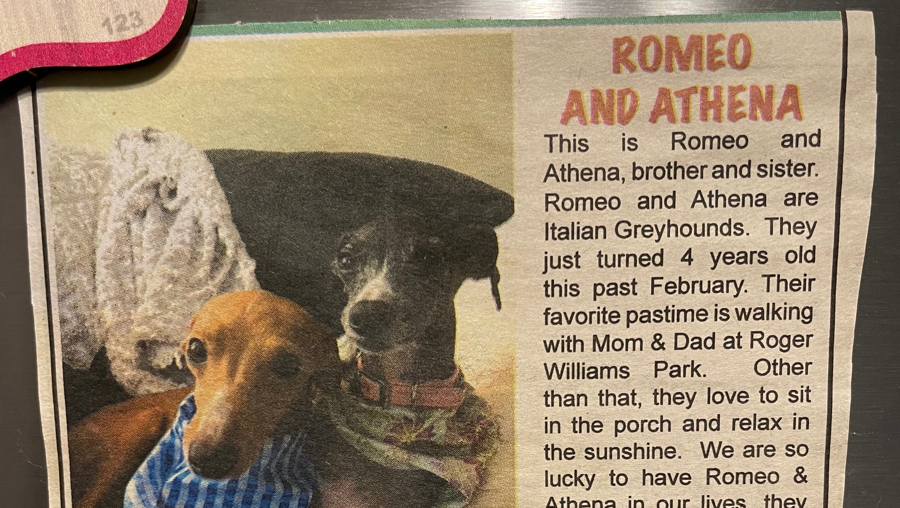 Fundraiser by Bruce Soares : Athena Hospital Bill