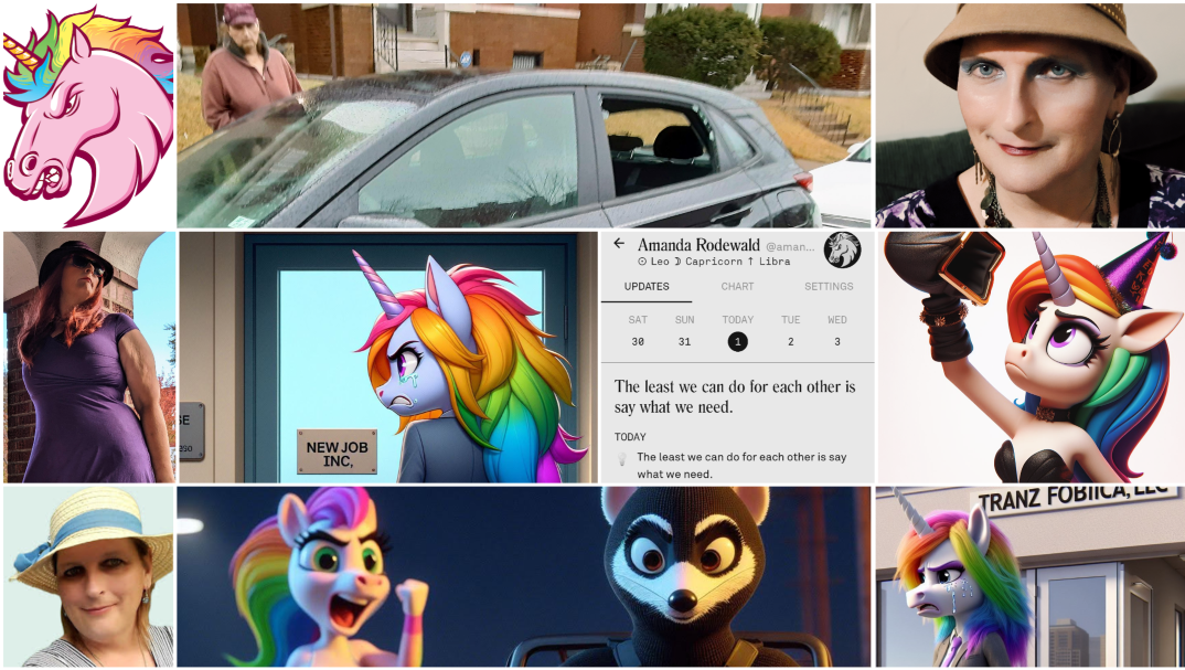 Fundraiser by Amanda Rodewald : Recovery From 2023: Save Amanda From ...