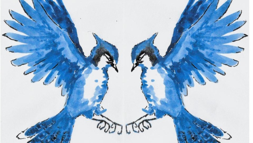 Fundraiser by BLUJAY LLC : BLUJAY KOMBUCHA AND KITCHEN