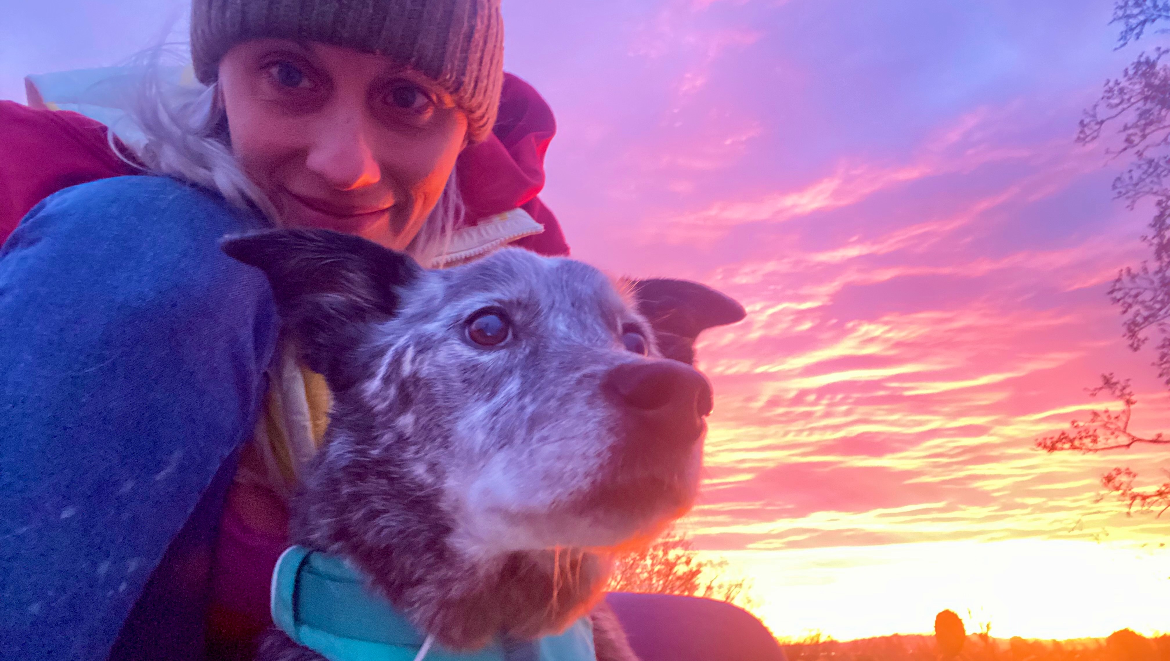 Fundraiser by Kate Lemke : Rallying for Ellie’s CT Scan