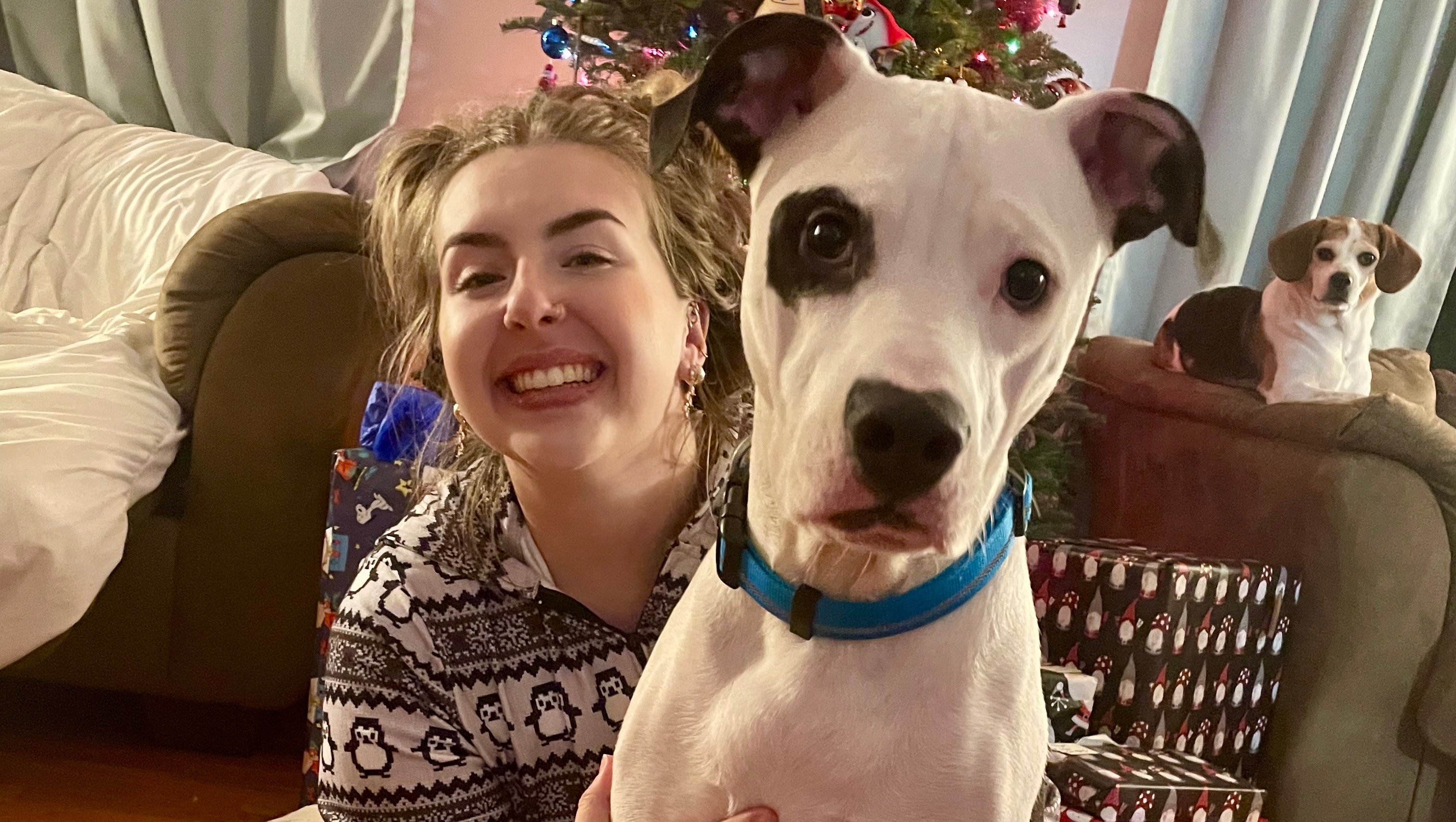 Fundraiser by Emilee Walls : Help our Pittie Stay with his People