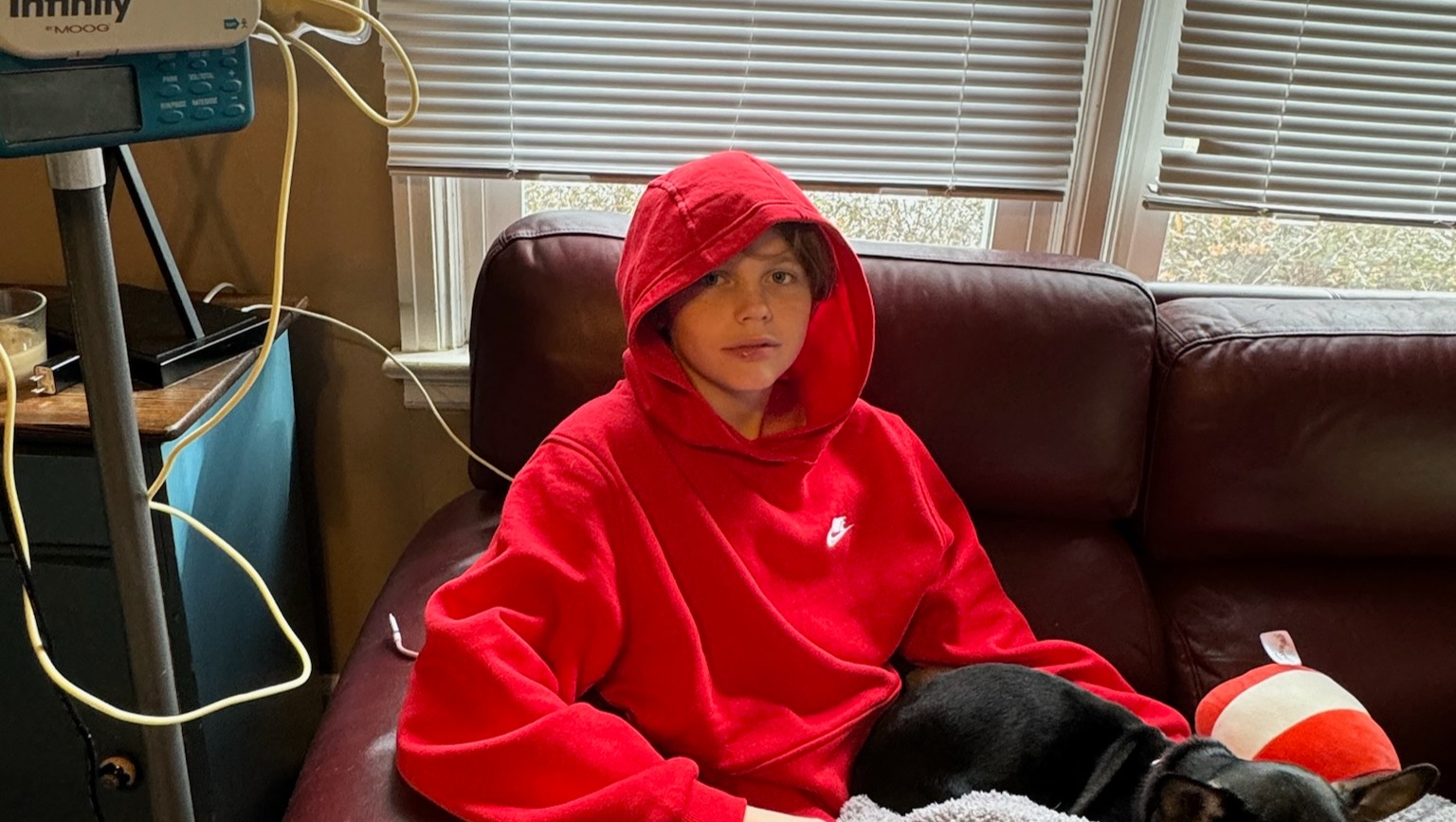 Fundraiser for Joey Bird by Iceley Stephens : Help with Wyatt Birds ...