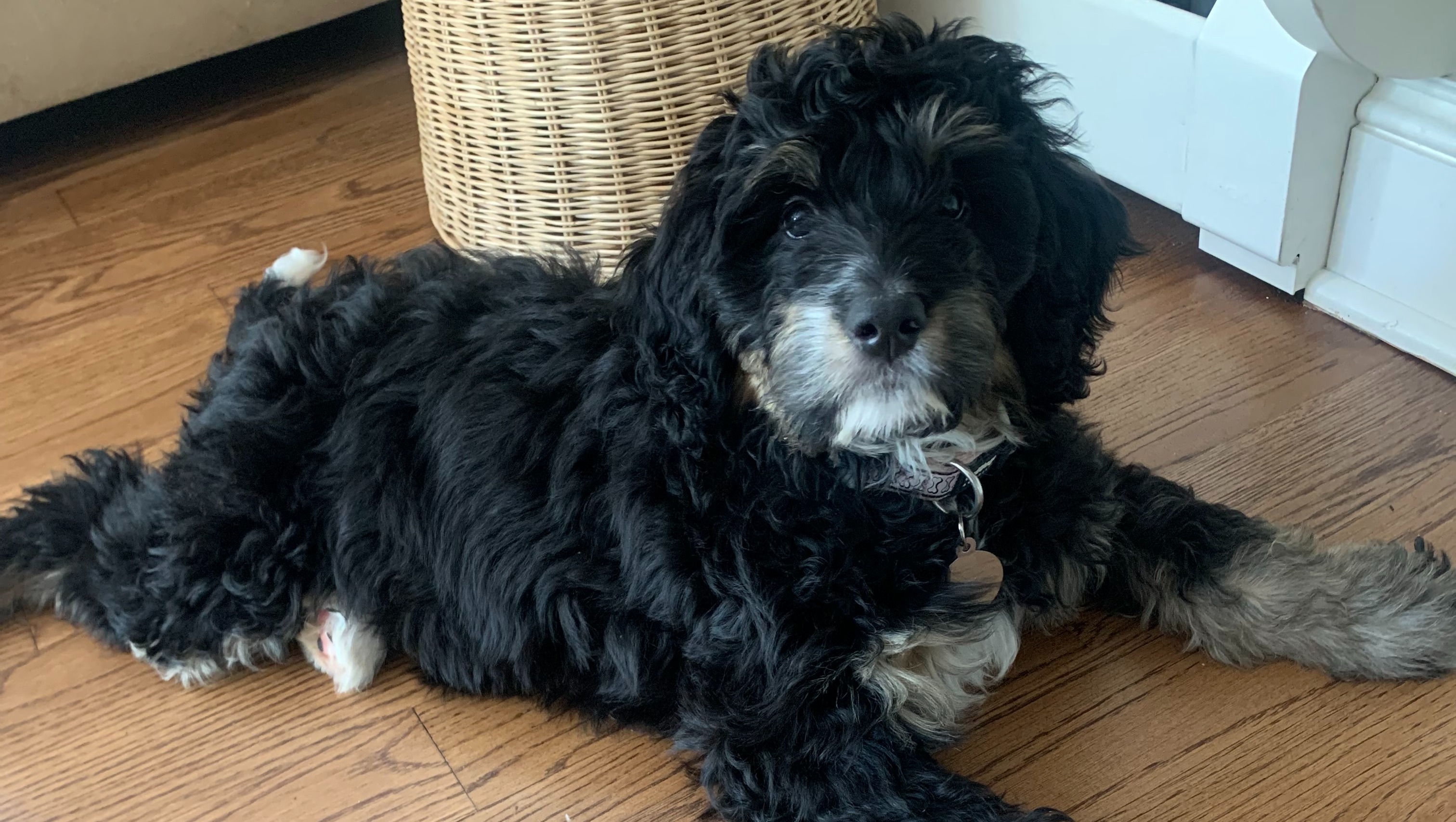 Fundraiser by Katie Stewart : Charlotte’s Birthday Fundraiser