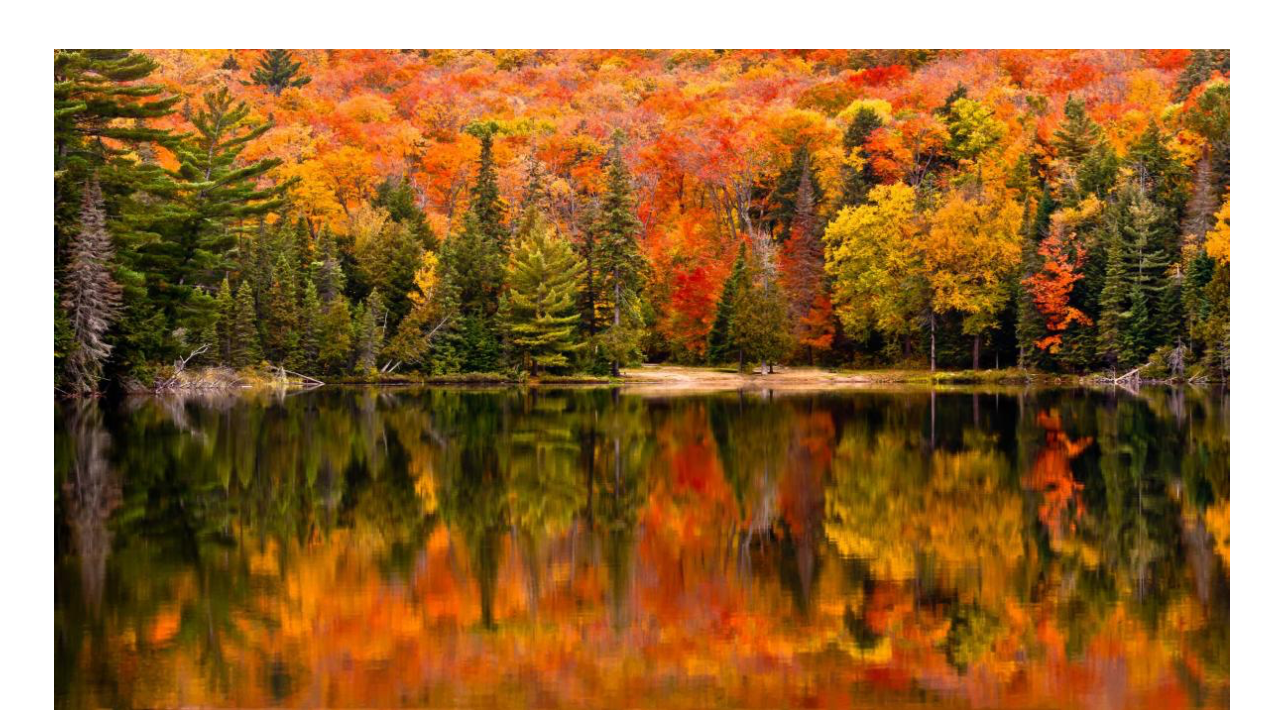 Fundraiser by Tsion Tamrat : Tsisam@23