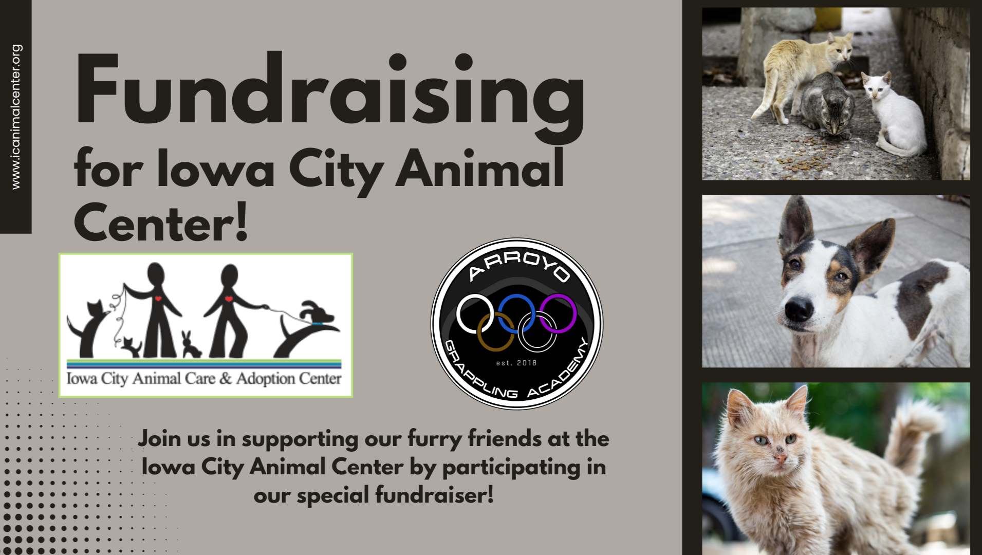 Fundraiser by Daniel Arroyo : Support Our Furry Friends at IC Animal ...