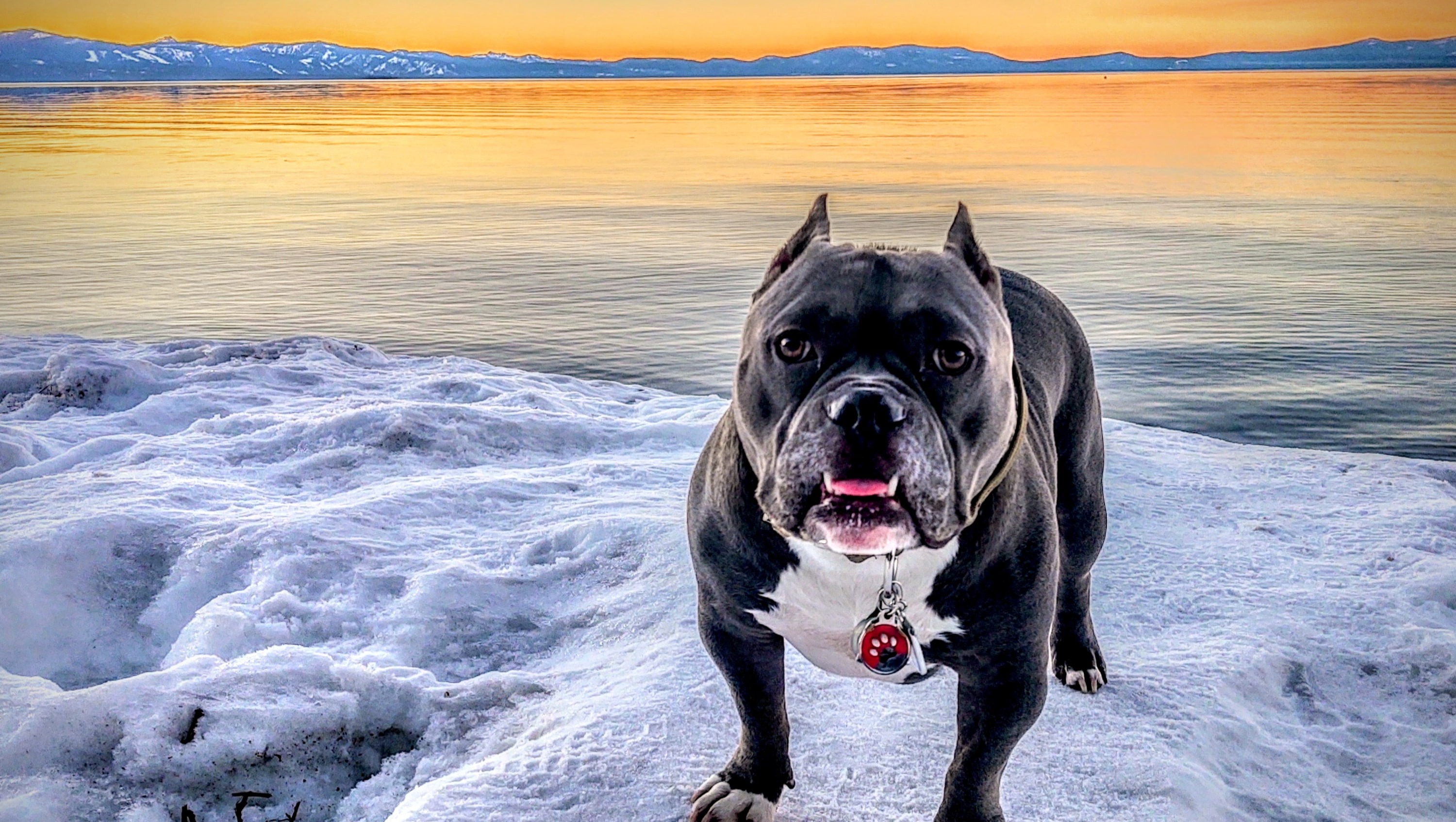 Fundraiser by Anthony Leombruno : Kang Cancer treatment