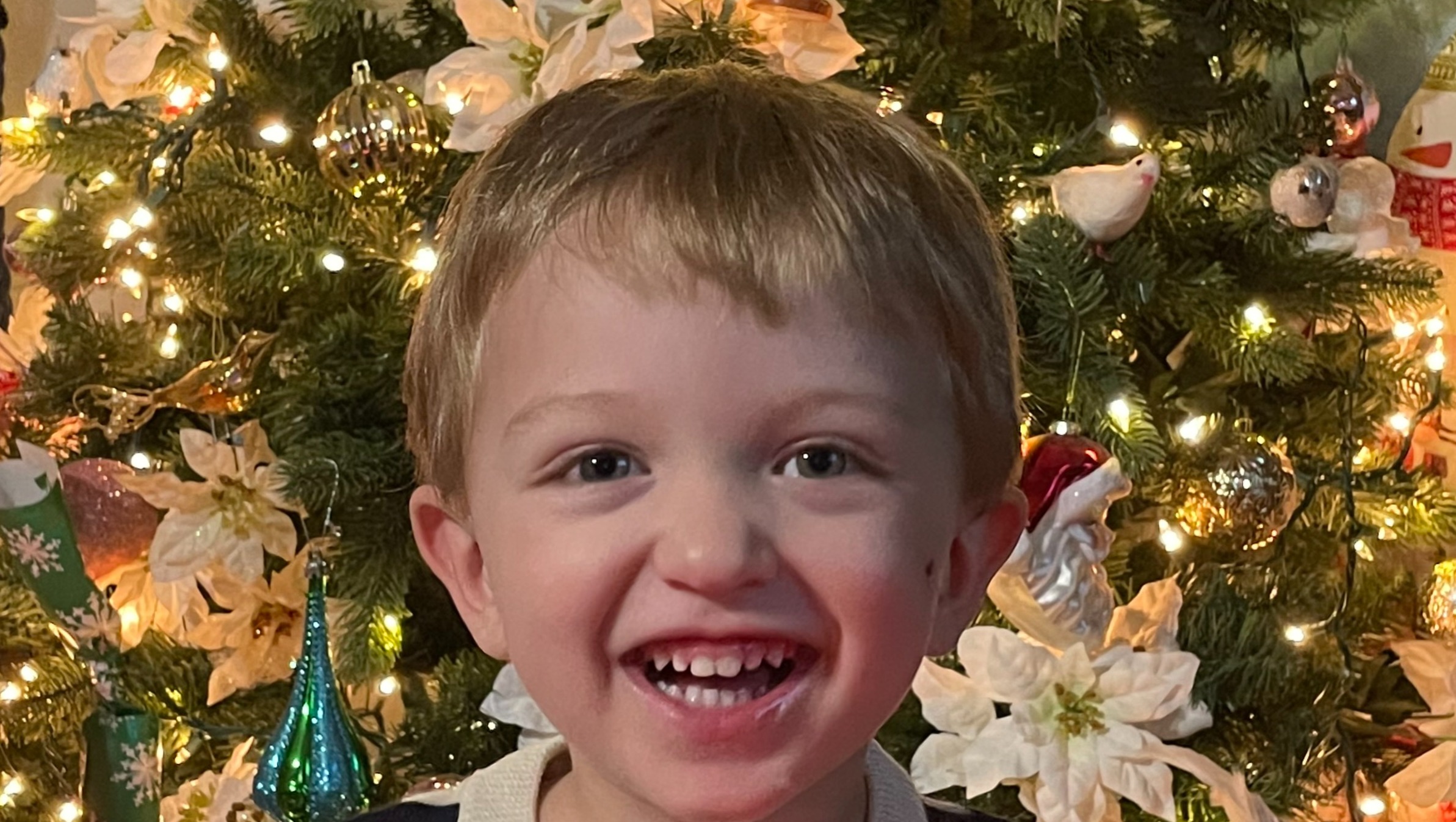 Fundraiser by Mary Cain : Saving Little Dean