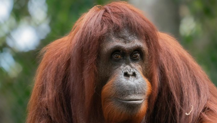 Fundraiser by Eric Hammer : Malthaussen, aka Eric Hammer, needs help for rent