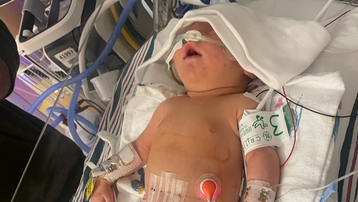 Fundraiser for Shianne Rockwell by Megan Smith : Help for sweet Miss Leia