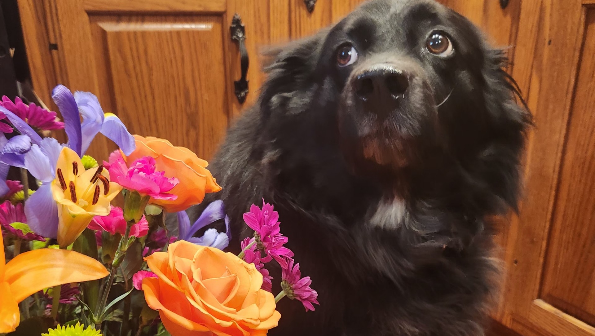 Fundraiser by Kelly Minick : 2023 - Funeral bills, surprise surgery & more