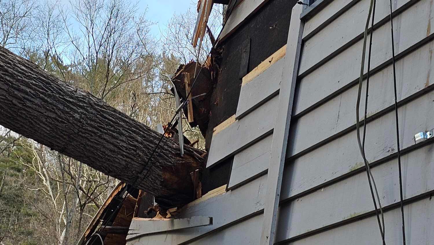 Fundraiser by Tish Mayo : Rescuer needs rescuing