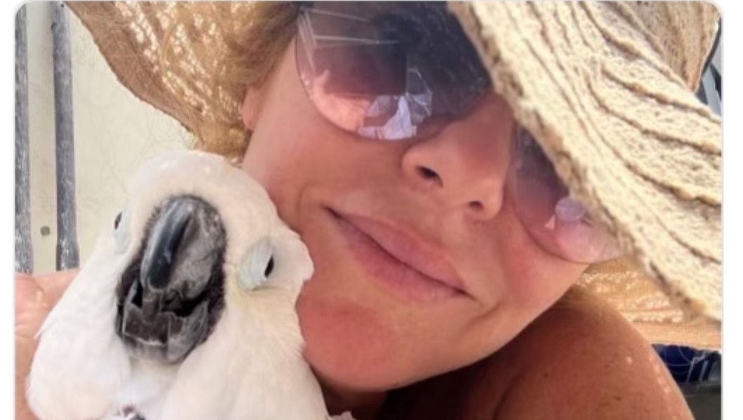 Fundraiser by Michael Cox : Victoria Cockatoo Memorial Fund