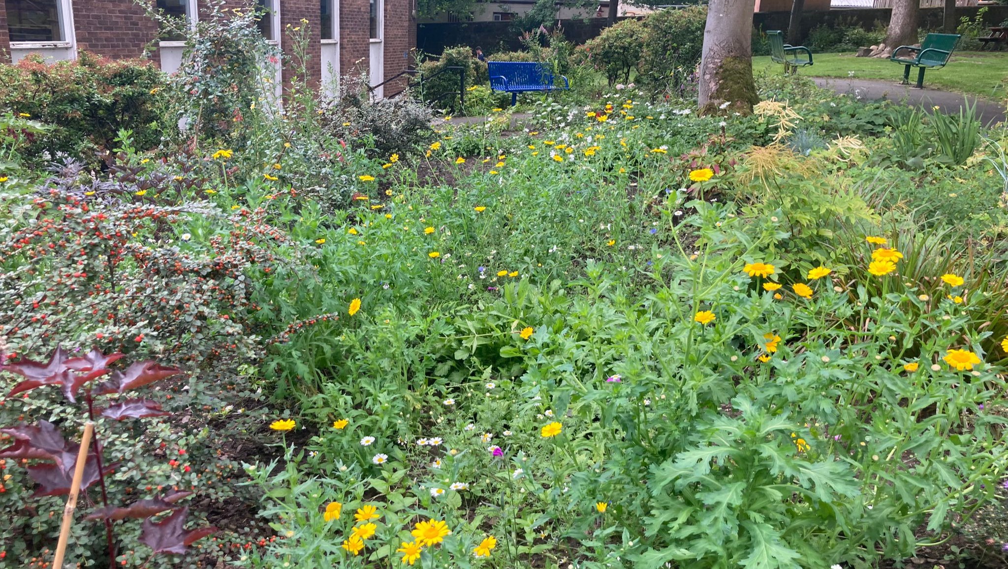 Fundraiser by Heather McEwen : Friends of Langside Library Garden