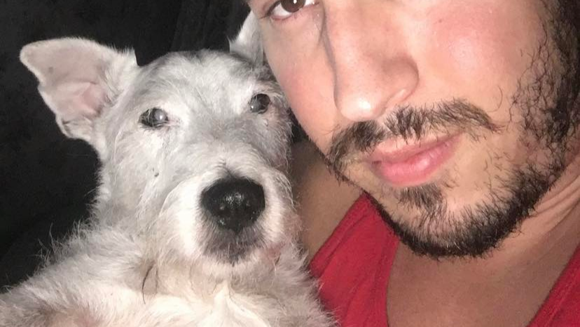 Fundraiser by Rob Becerra : Former abused dog battling Cancer needs funding