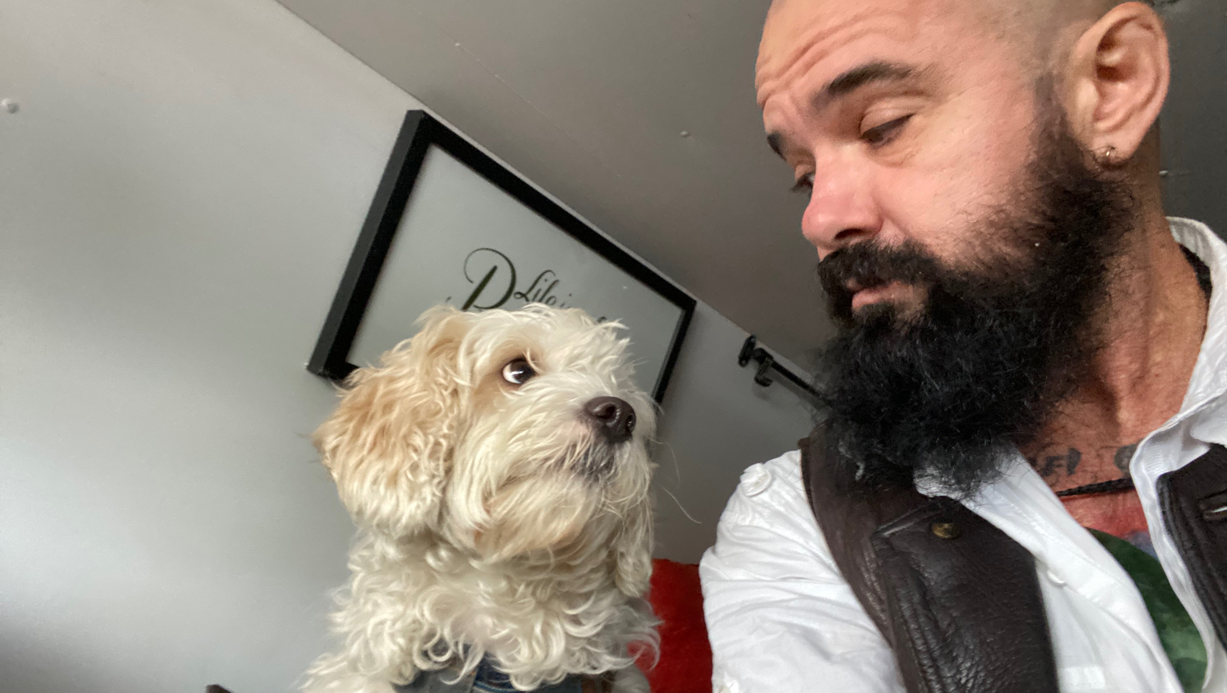 Fundraiser by Paige Phoenix : Phoebe’s Surgery Fund