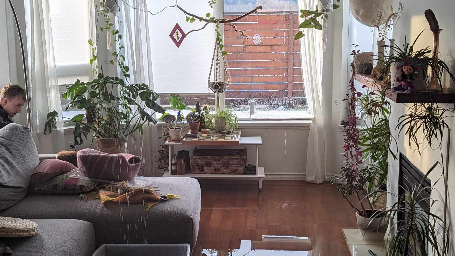 Fundraiser by James Wetherill : Flooded Condo and Wedding