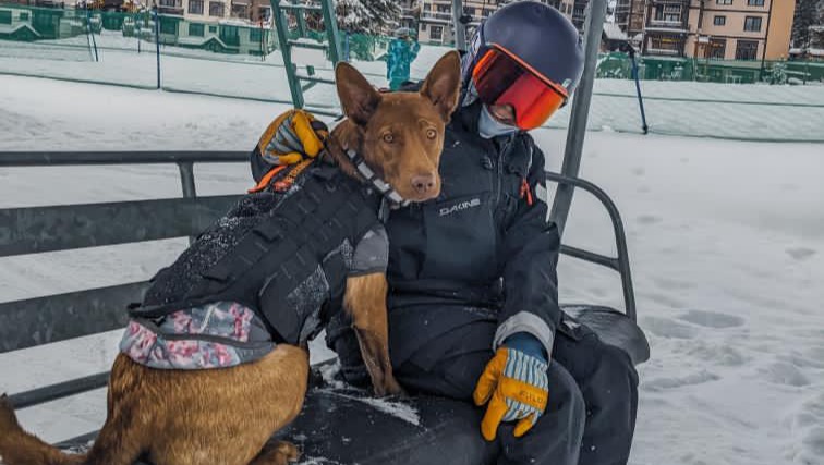 Fundraiser by Jenna Burkey : Send Jenna and River to CRAD Winter Dog School