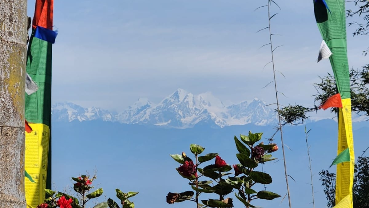 Fundraiser by Engineers Without Borders Nepal : Help Us Grow a Forest ...