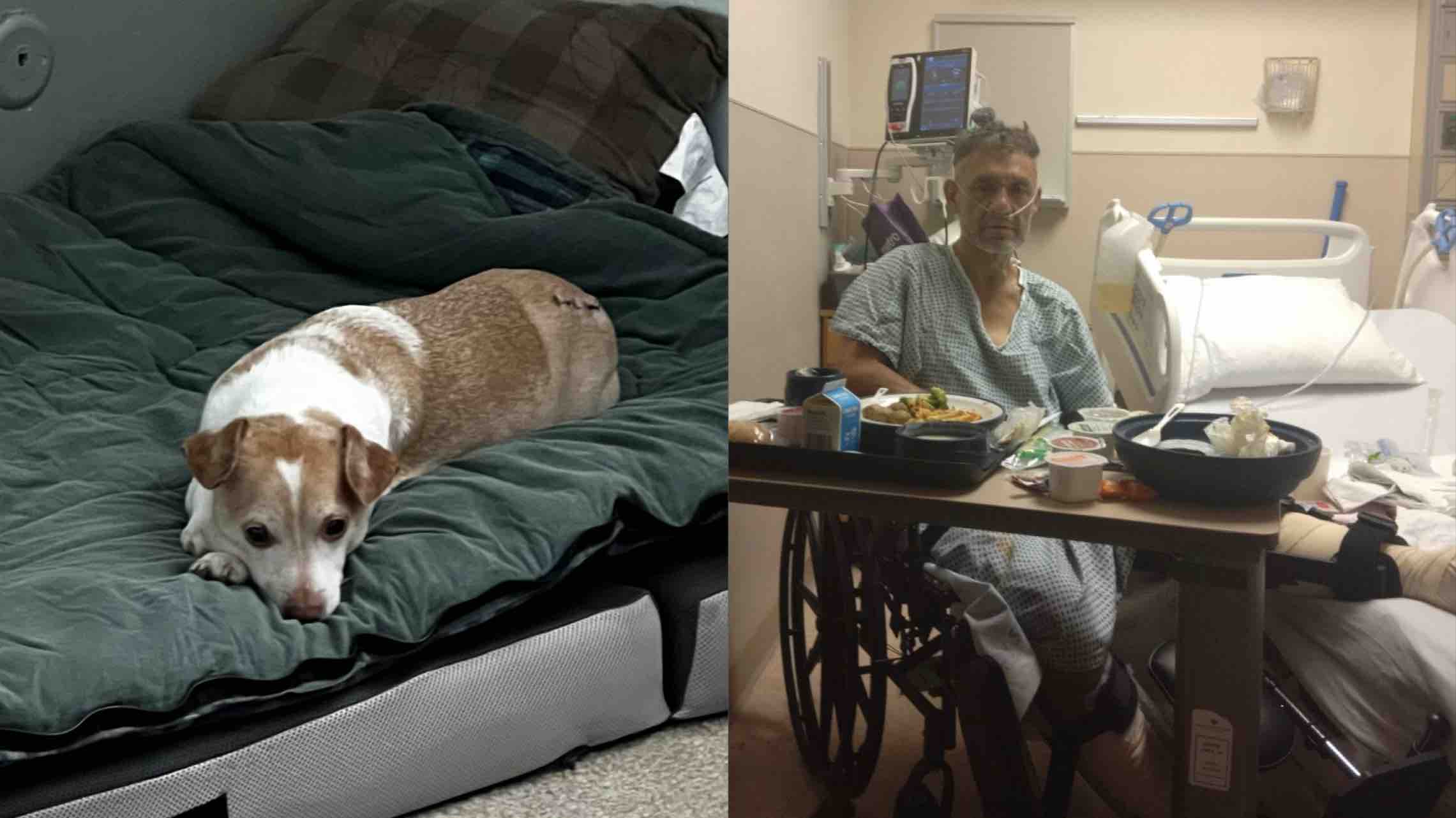 Fundraiser by Daisy Velazquez : Support Family with Hospital and Vet Bills