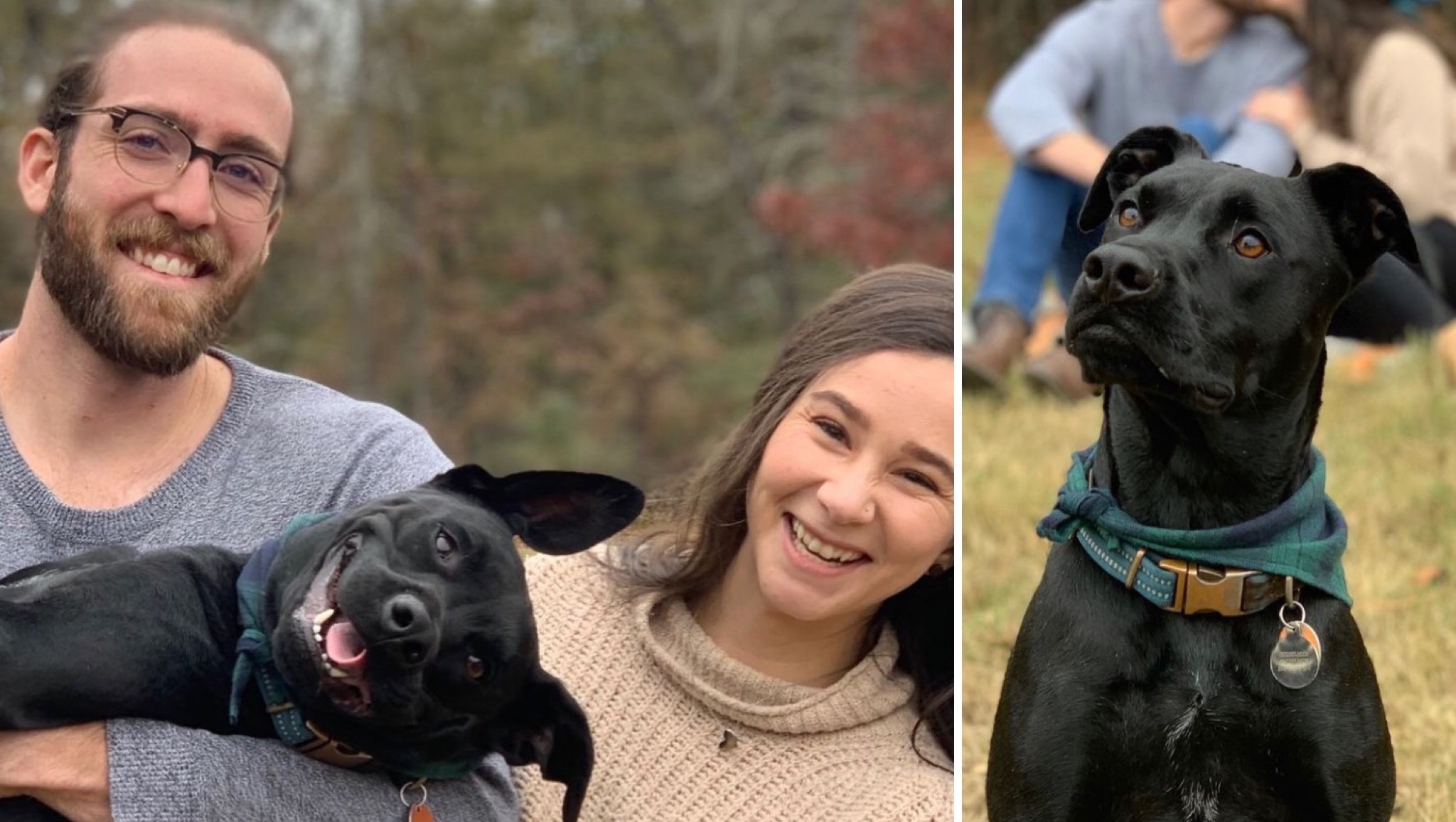 Fundraiser for Susannah Williams by Rachel Seitz : Cody’s Surgery