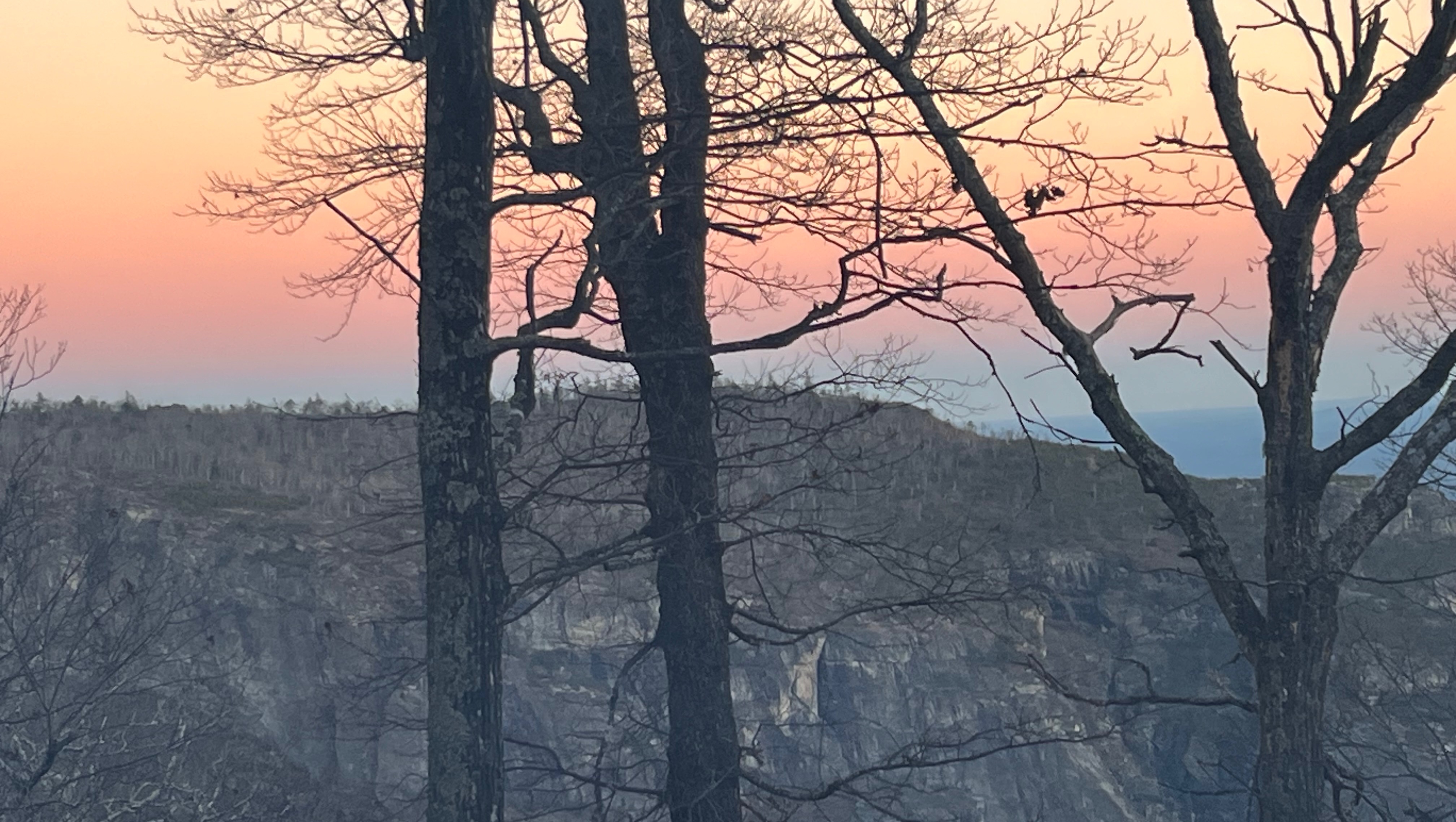 Fundraiser for William Rocheleau by Jim Rocheleau : Bill Rocheleau