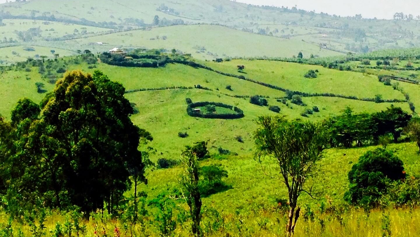 Fundraiser by Cathy Chappell-Chambers : Help OTYO! purchase land for a ...