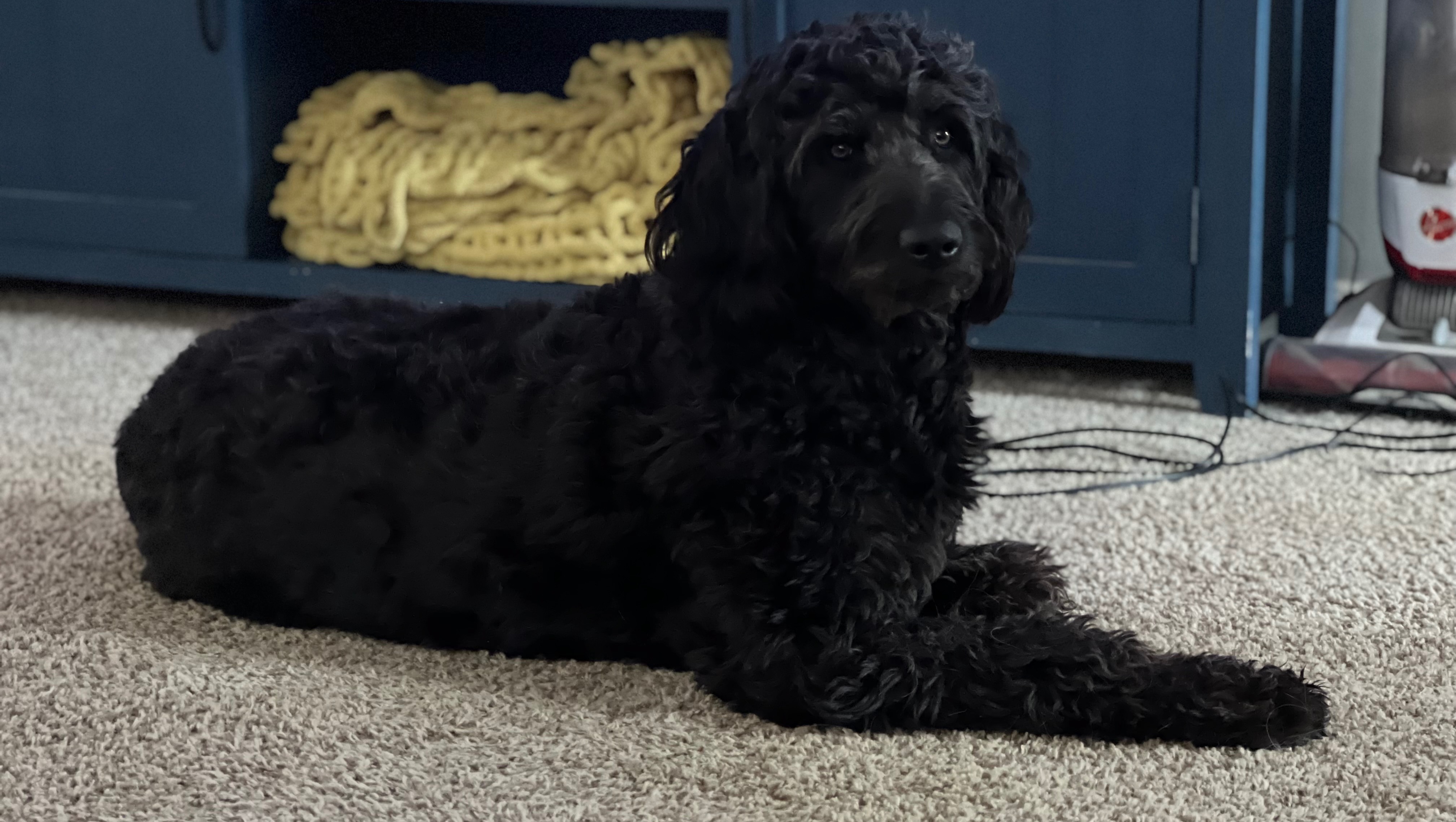 Fundraiser for Victoria LaRocca by Madison Ruiz : Victoria, Philip, and ...