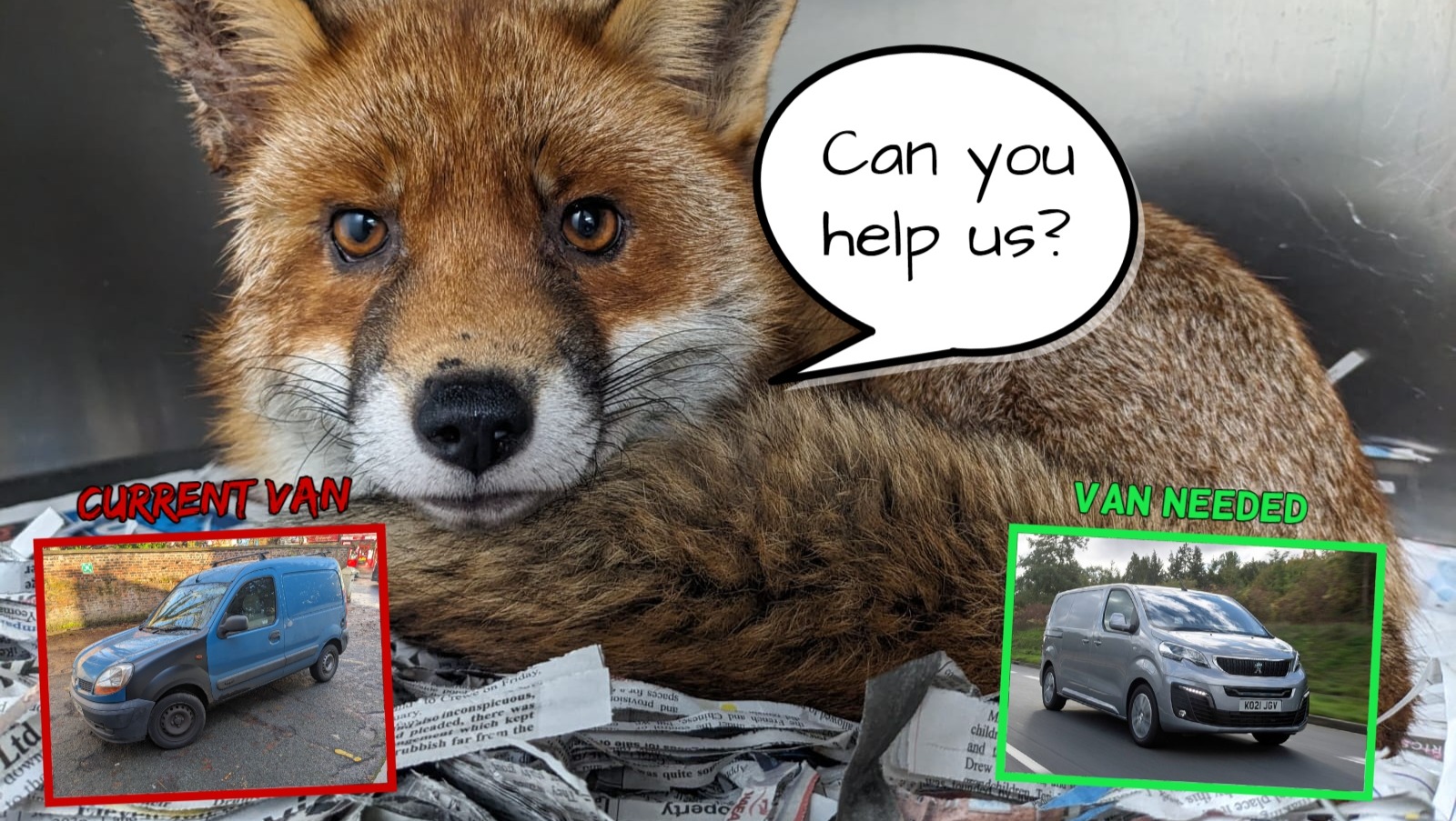 Fundraiser by The Fox Rescuers : Help get us back on the road...