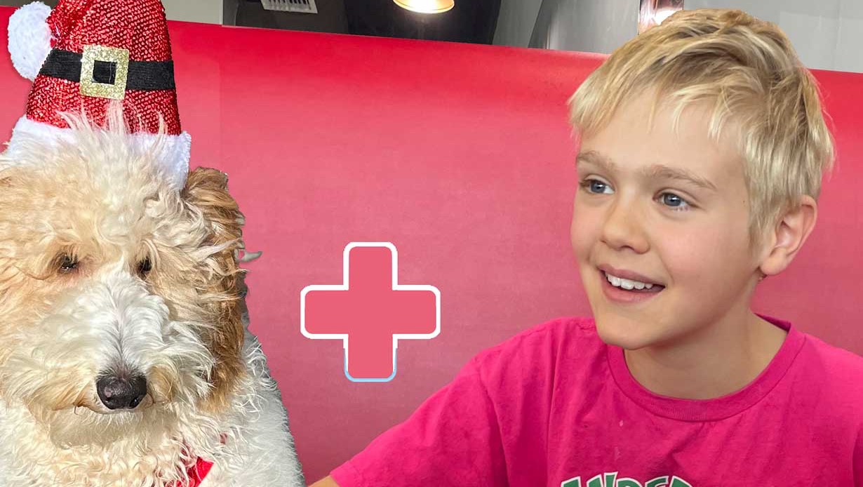 Fundraiser by Hope Scott : A service dog for Grayson!