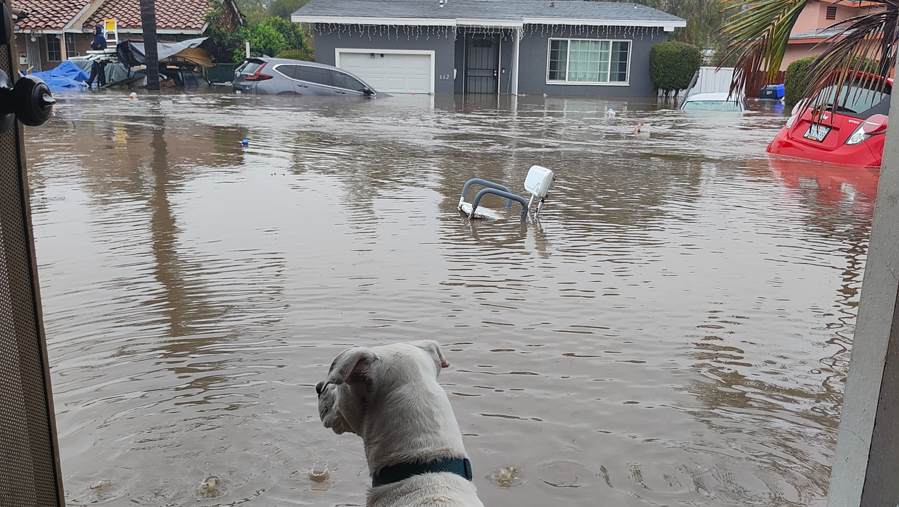 Fundraiser by David Rose : Flood Relief Fund: Recovery for Rose Family