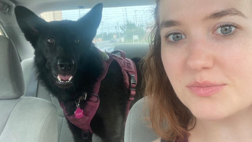 Fundraiser for Emily Bradley by Becca Bradley : Rescue Rizzo Fund