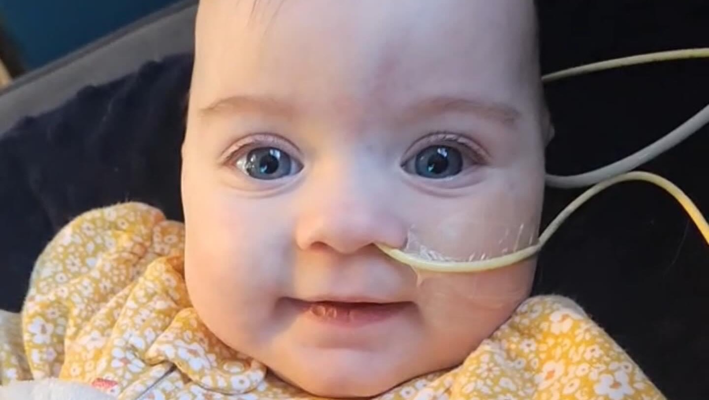 Fundraiser by Brandon and Lindsay Hamill : Support baby Quinn Jenkins ...