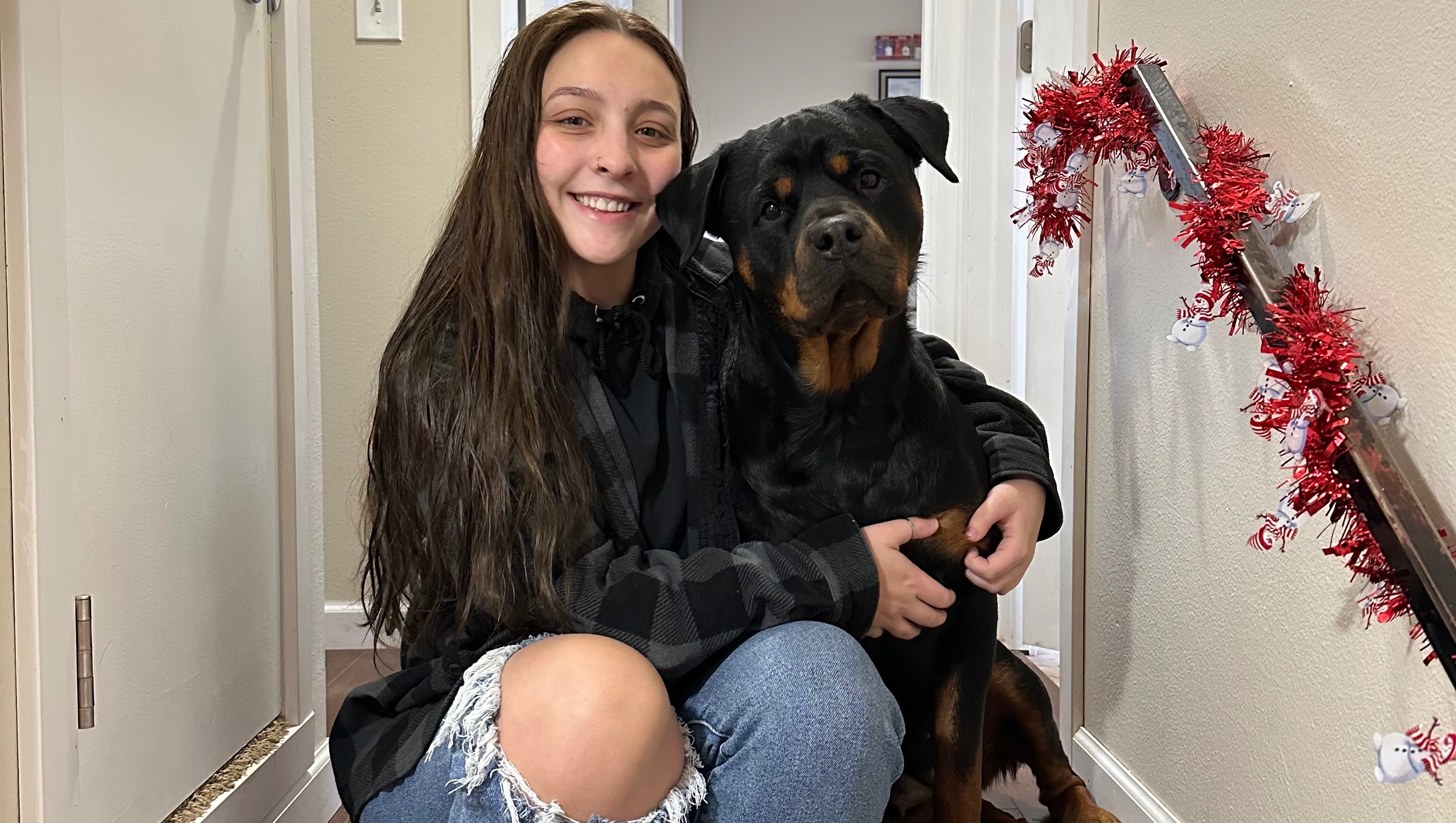 Fundraiser by Sierra Pinheiro-George : Tilly’s TPLO surgery