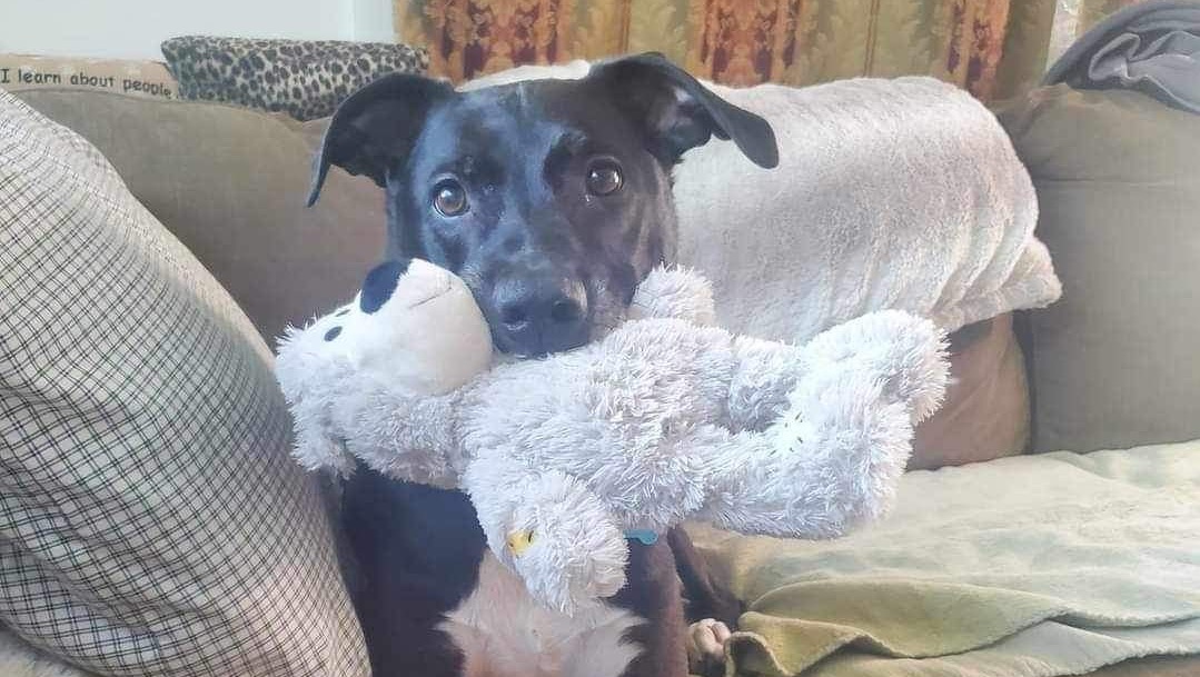 Fundraiser by Amanda Manchester : Help support Dustin and Sunny in this ...