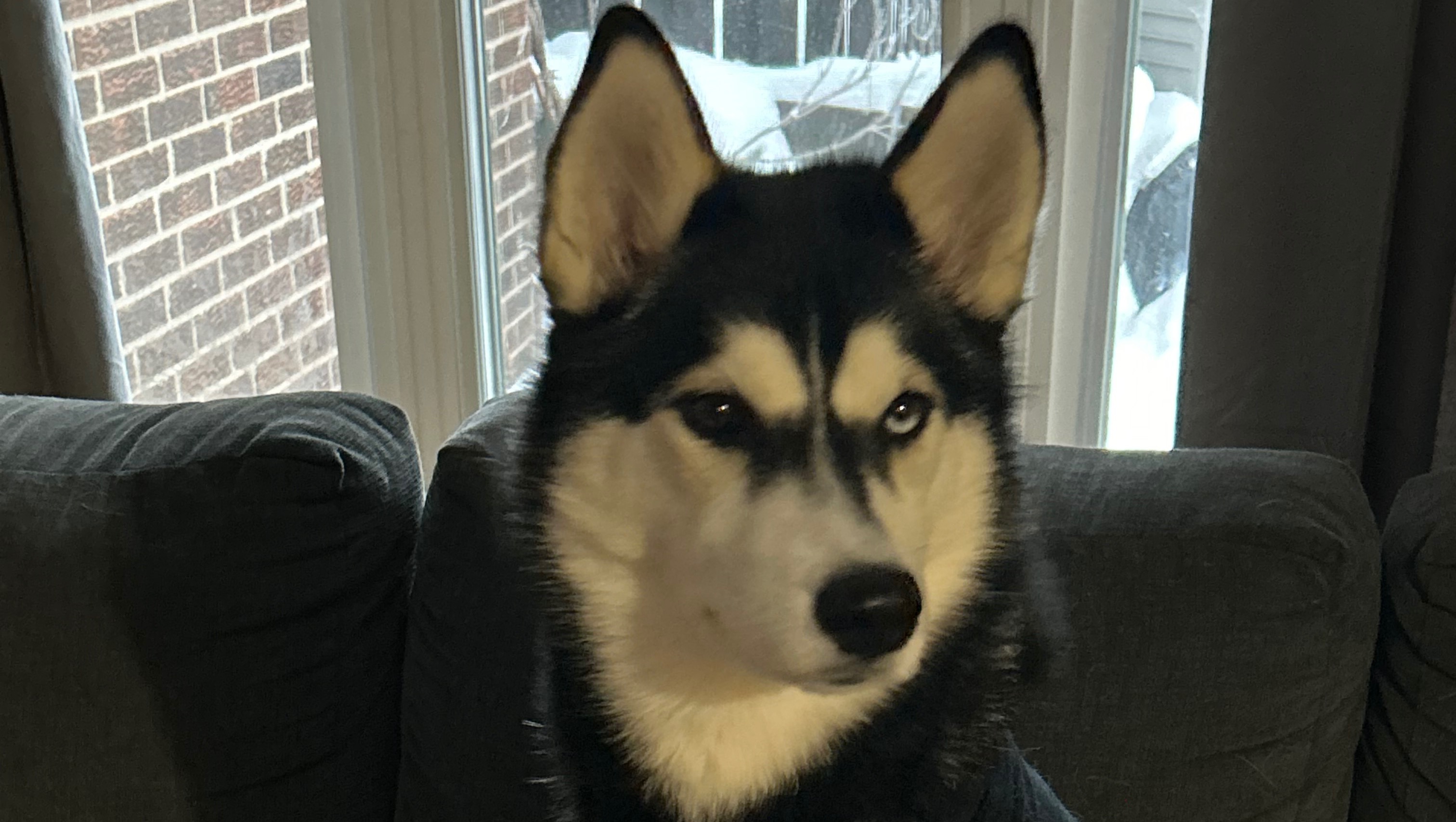 Fundraiser by Renee POITRAS : Help with medical bill