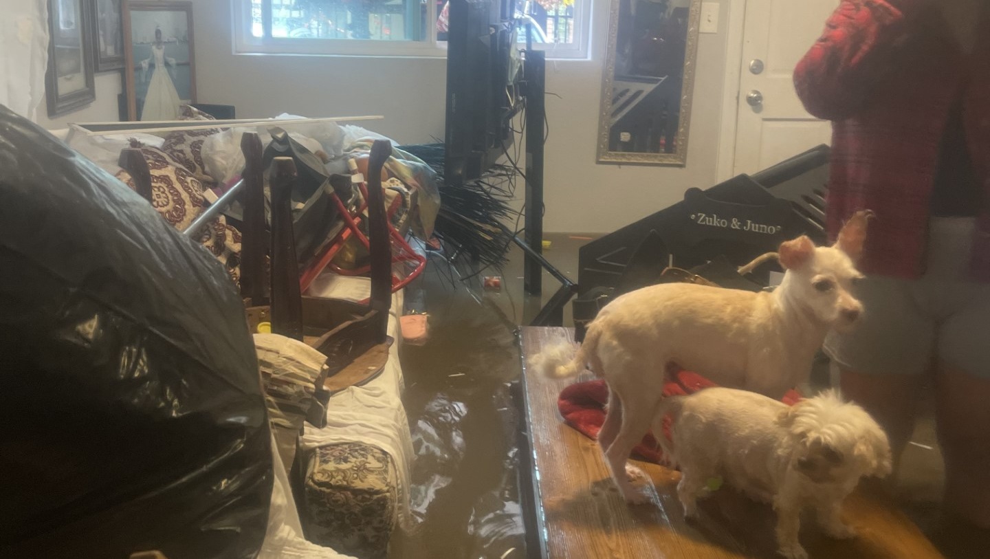 Fundraiser for Quion Flowers by Brandon Martin : Displaced Navy Veteran ...