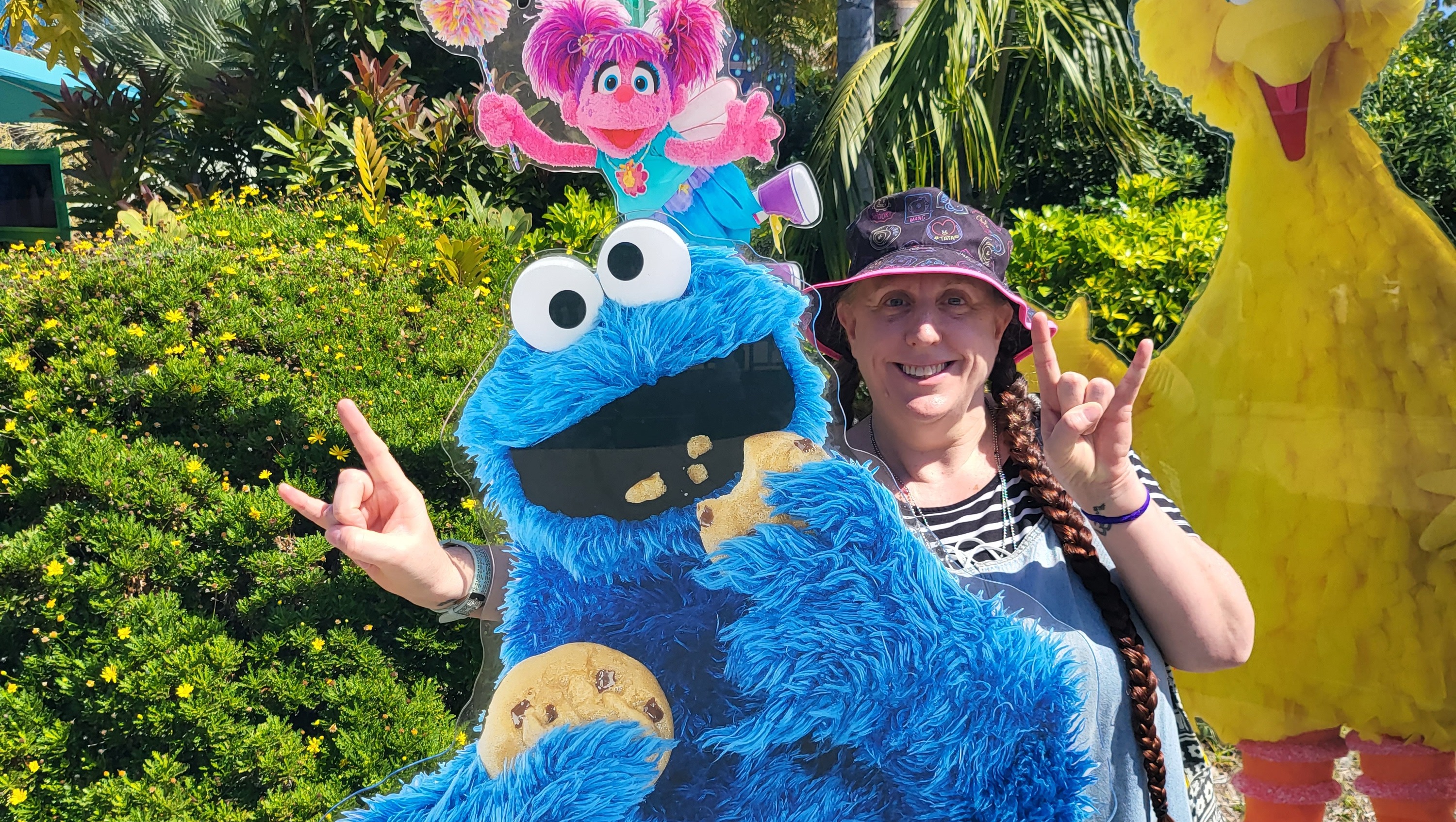 Fundraiser by Aaron Diem : Teri (Tabitha, Tabby) Medical Bills