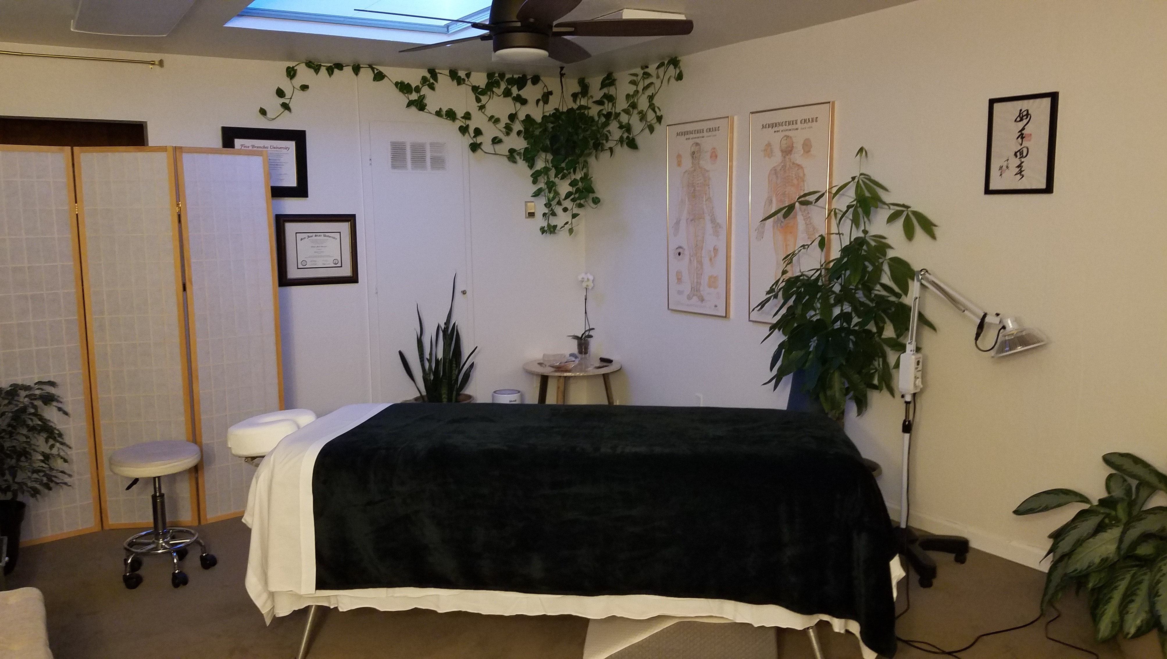 Fundraiser by Kristin Buzzetta : Hip replacement recovery fund