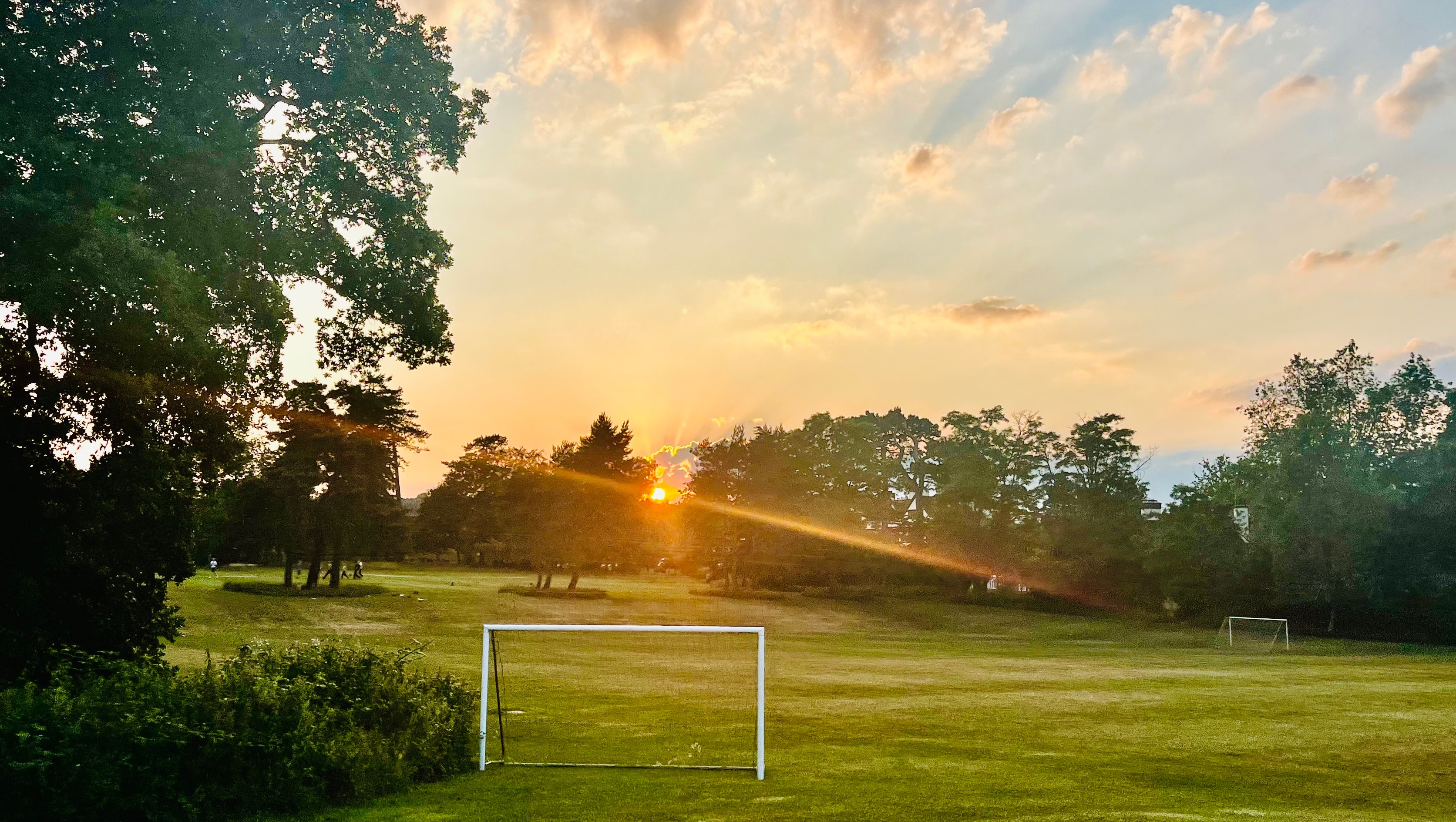 Fundraiser for Jonathan Cake by Iggy Cake : Project Three Trees