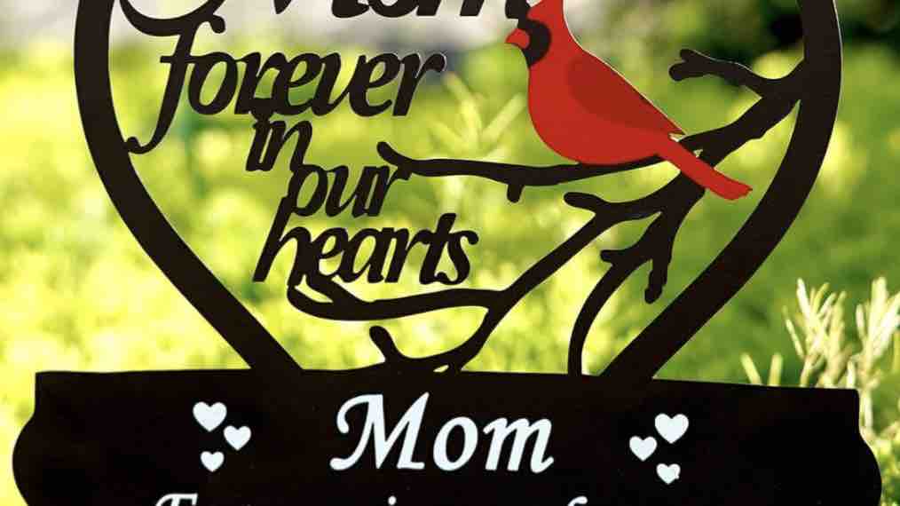 Fundraiser by Todd Eoff : For the angel in the sky-Susan Southwick