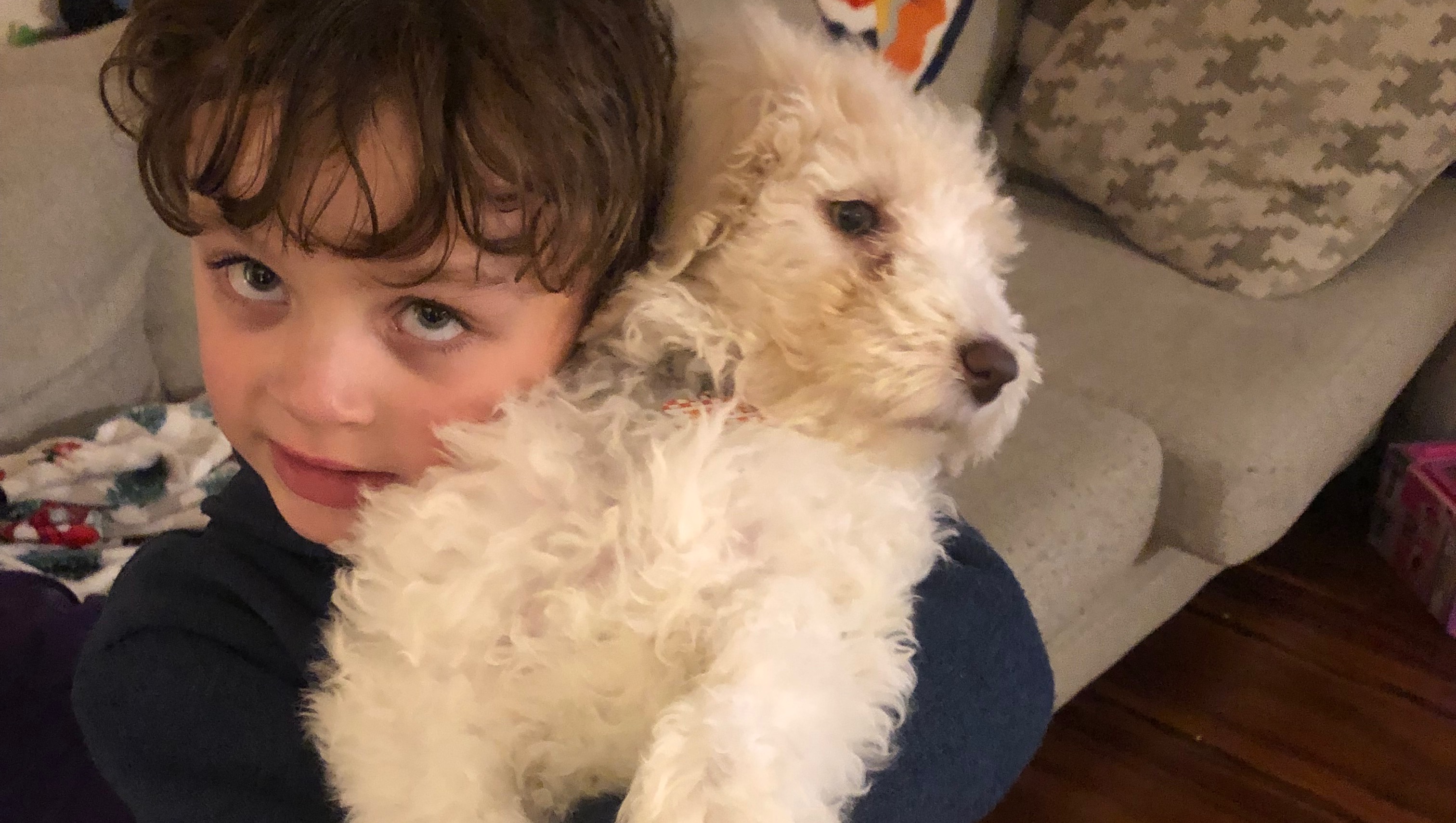 Fundraiser by Doug Brooks : Whisper needs heart surgery