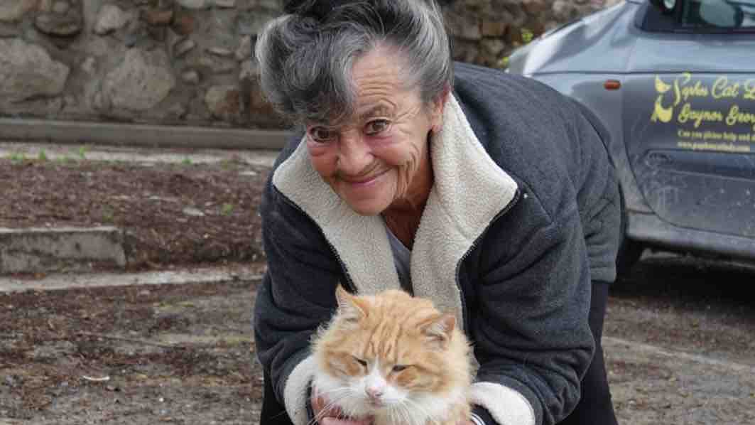 Fundraiser by Suzanne Handford : Paphos Cat Lady: street cats medical ...